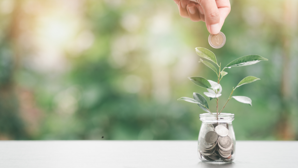 Apollo Financial Services | Financial Advisors in Ireland